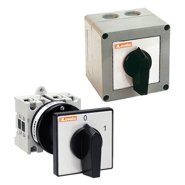 . Rotary cam switches